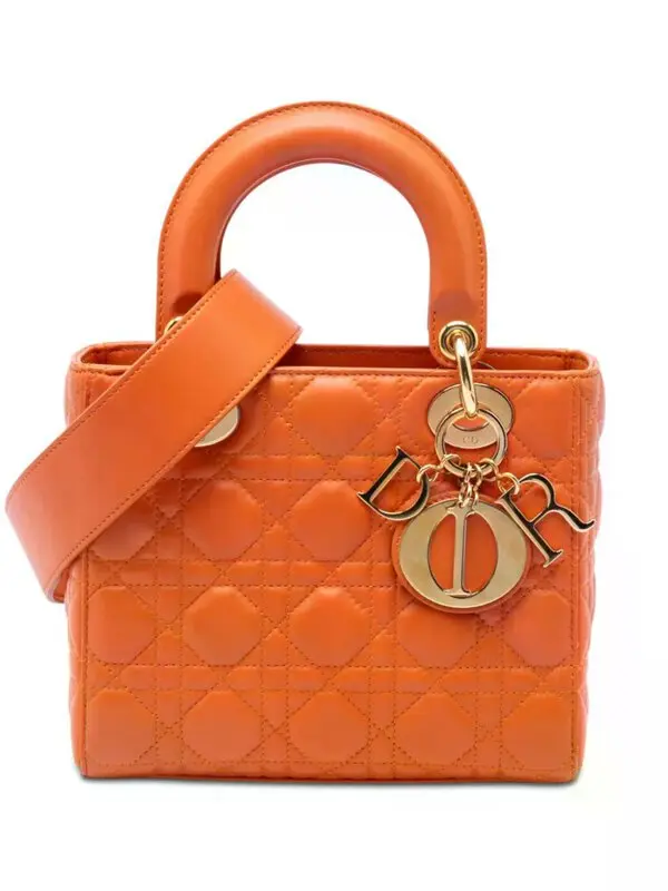 Dior Lady Satchel - Orange