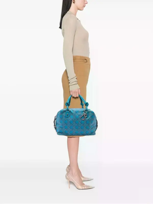 Dior Canvas Cannage Print Cherie Handbag