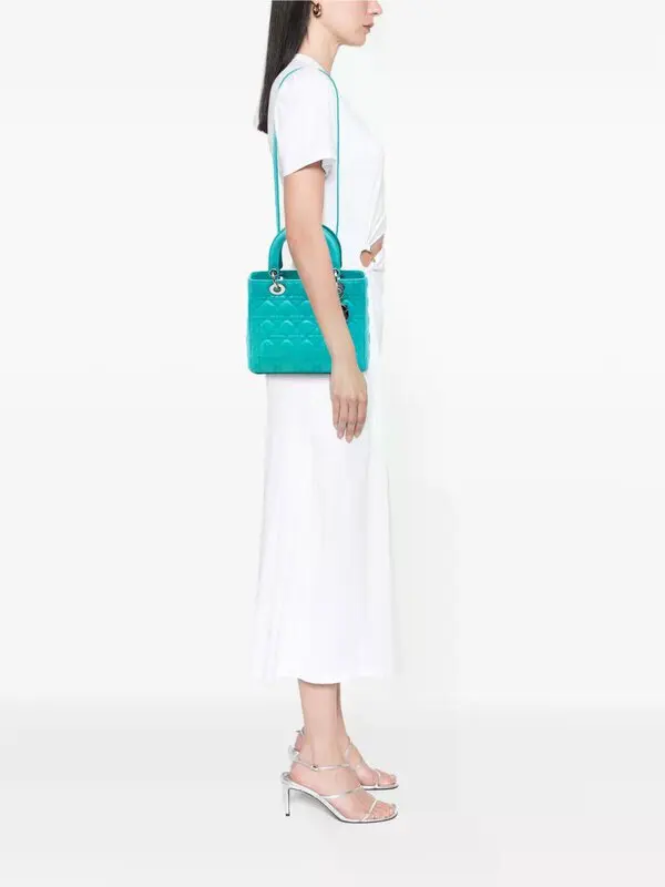 Dior Lady Satchel