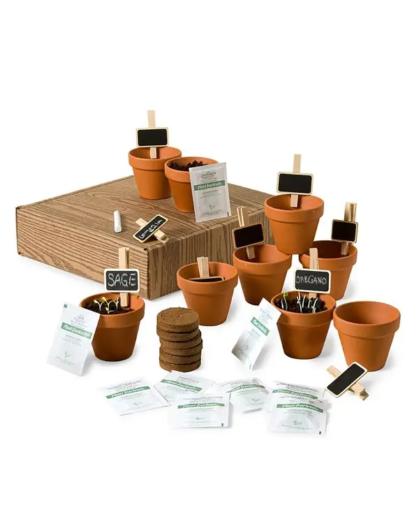 UNCOMMON GOODS Apothecary Garden Grow Kit - Multi