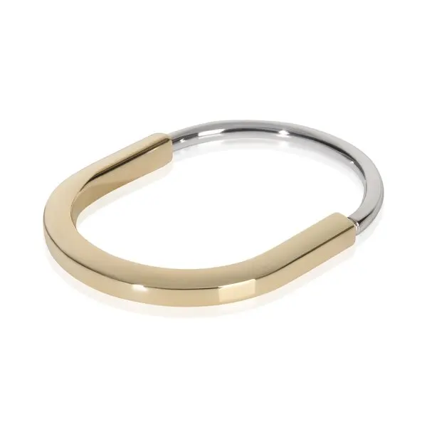 Tiffany & Co. White Gold And Yellow Gold Bangle Bracelet