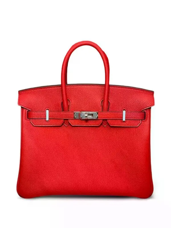 Hermès Birkin 25 Togo Handbag - Red