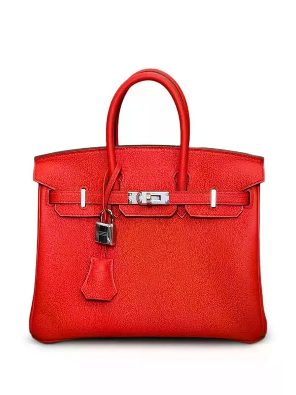 Hermès Birkin 25 Togo Handbag