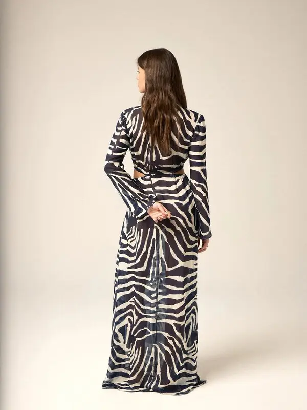 REINA OLGA Zebra Print Silk Chiffon Maxi Dress