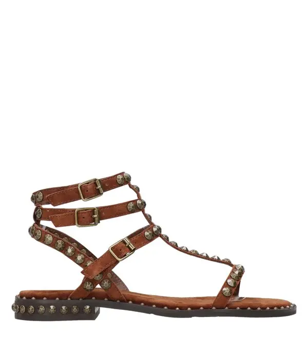 Ash Embellished Suede Gladiator Sandals With Buckled Ankle Straps - Clay
