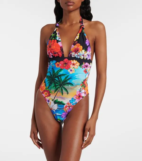 Dolce & Gabbana Halterneck Floral Print One-piece Swimsuit