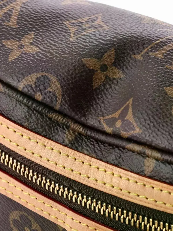 LOUIS VUITTON Monogram Canvas Belt Bag
