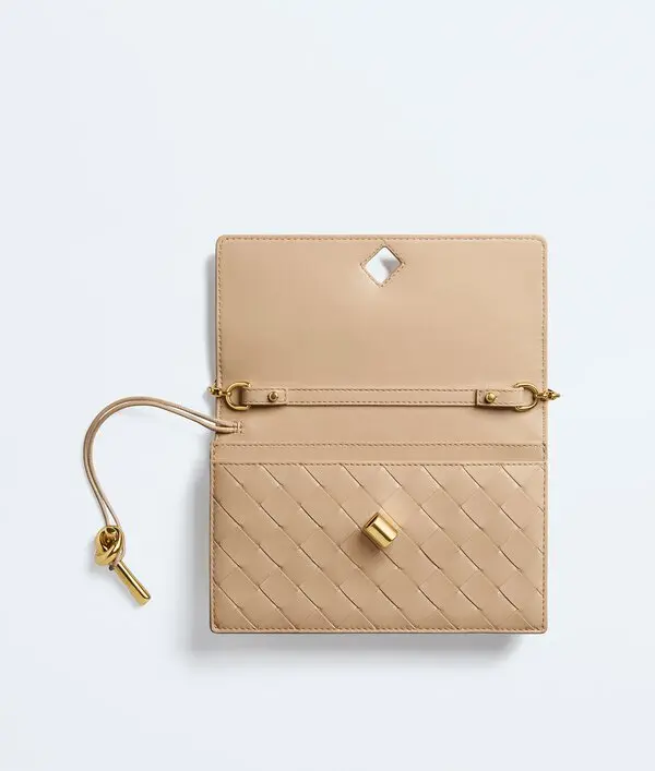 Bottega Veneta Andiamo Pouch On Chain
