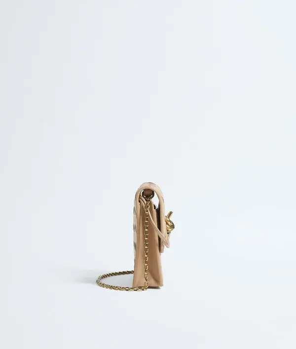 Bottega Veneta Andiamo Pouch On Chain