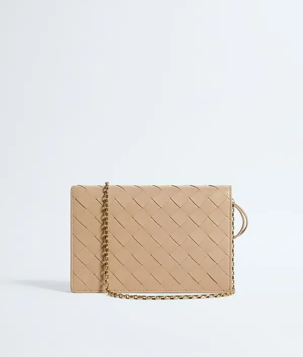Bottega Veneta Andiamo Pouch On Chain
