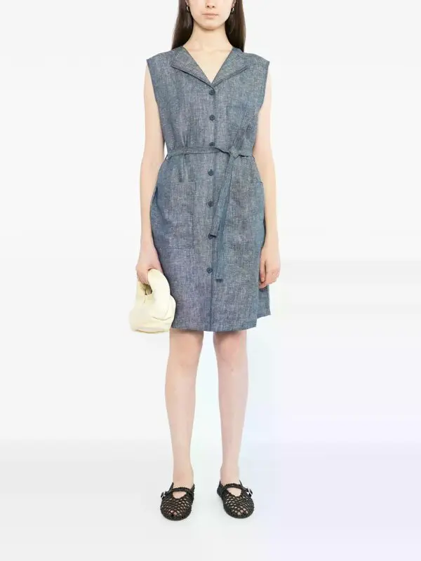 LESS V-neck Sleeve Dress