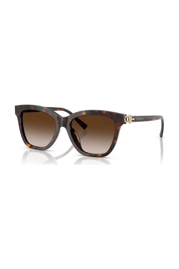 TIFFANY SUNGLASS HUT Tiffany & Co. Square Frame Sunglasses - Brown
