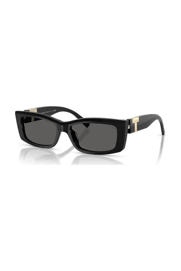 TIFFANY SUNGLASS HUT Tiffany & Co. Rectangular Sunglasses - Black