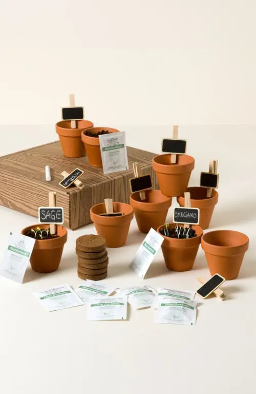 UNCOMMON GOODS Apothecary Garden Grow Kit - Multi