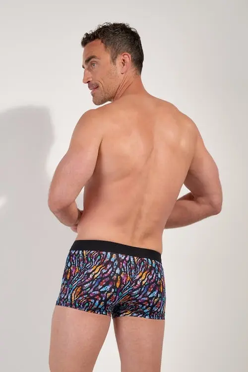 HOM Miami Trunk
