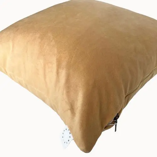 APARTMENT F Reversible Velvet Pillow