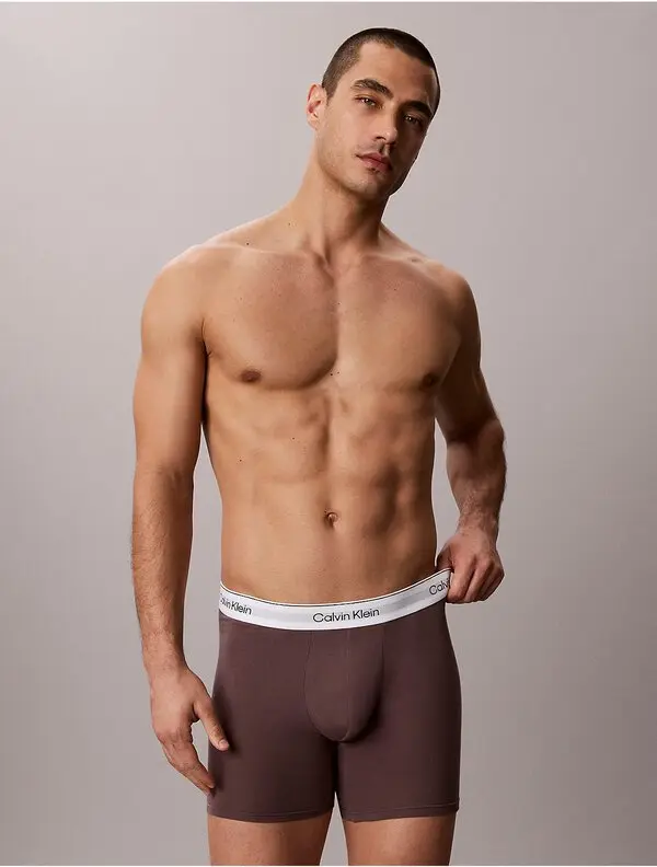 Calvin Klein Icon Cotton Stretch Boxer Brief - Sparrow