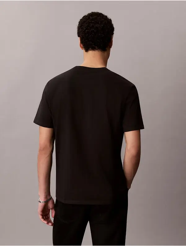 Calvin Klein Standard Logo Graphic Classic T-shirt