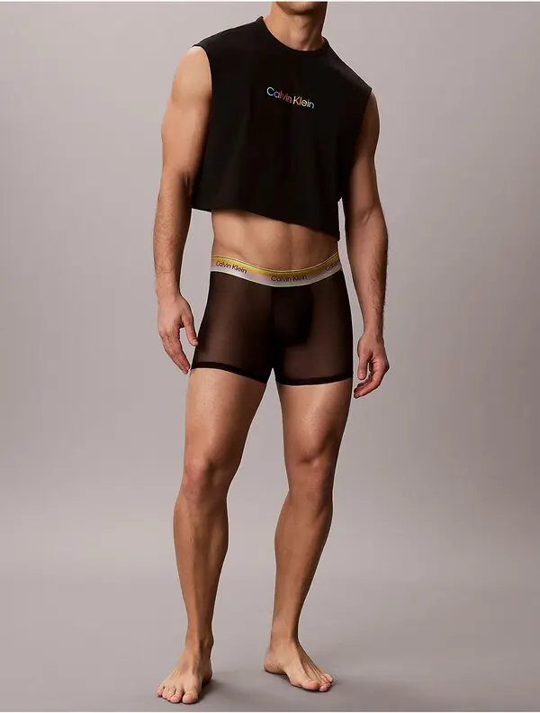 Calvin Klein Icon Mesh Pride Boxer Brief