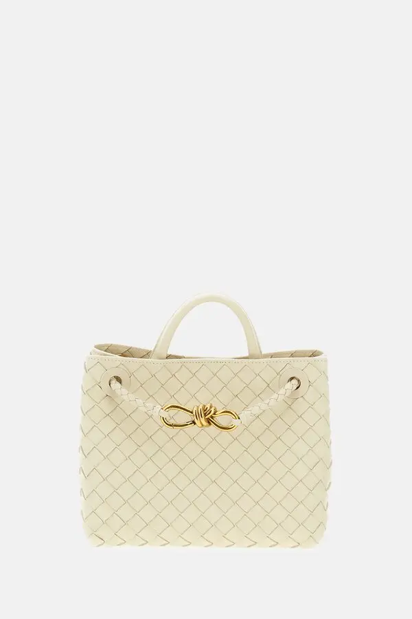 Bottega Veneta Small Andiamo Bag