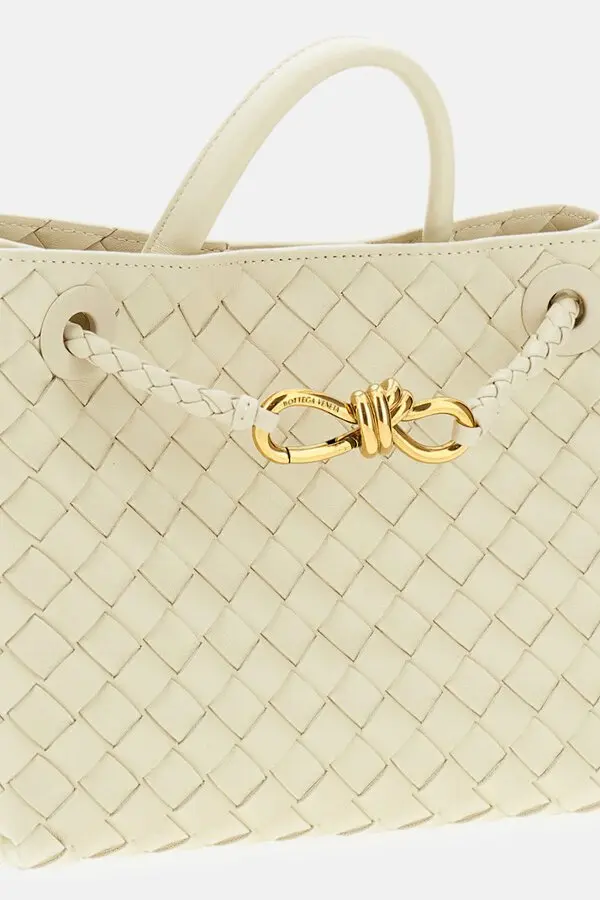 Bottega Veneta Small Andiamo Bag
