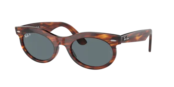 Ray-ban Wayfarer Oval Sunglasses - Blue