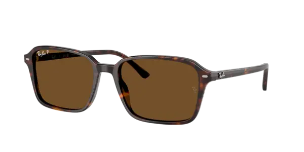 Ray-ban Sunglasses - Brown Polarized