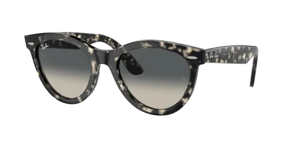 Ray-ban Wayfarer Sunglasses - Solid Color