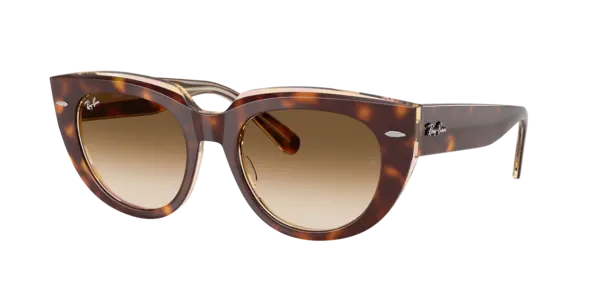 Ray-ban Doreen Cat Eye Sunglasses - Clear Gradient Brown