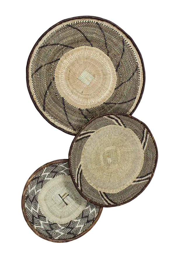 Botanical Boys Neutrals / Tonga Basket Collection Twenty Six