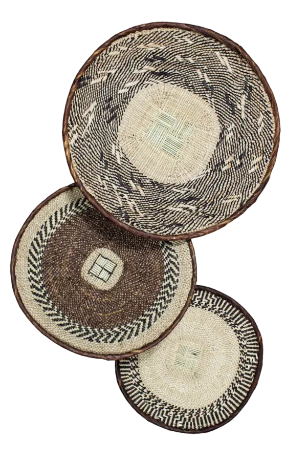 Botanical Boys Neutrals / Tonga Basket Collection Twenty Five