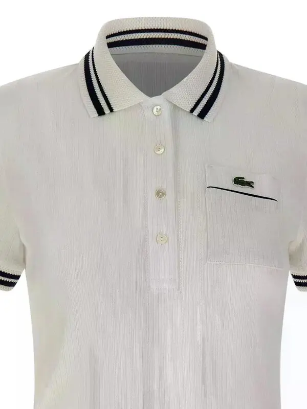 Lacoste Ribbed Knit Polo Shirt With Contrast Stripes