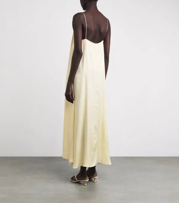 ANINE BING Silk-blend Mae Maxi Dress - Beige