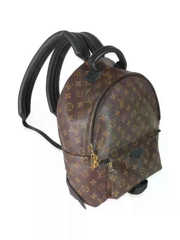 LOUIS VUITTON Palm Springs Backpack - Brown
