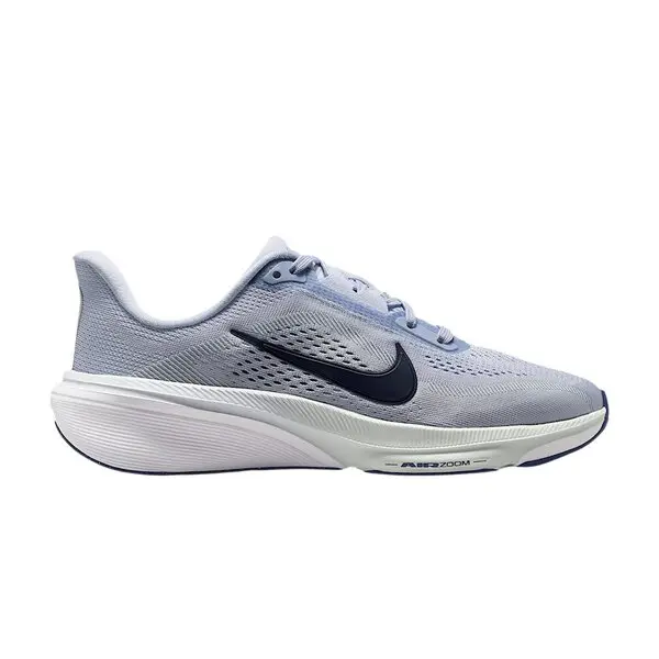 Nike Pegasus 42 Gs Athletic Sneakers - Blue