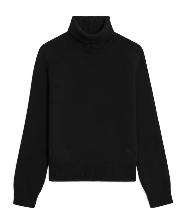 Celine Turtleneck Sweater In Scottish Cashmere - Black
