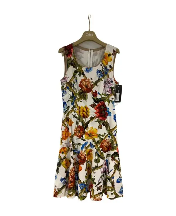 Dolce & Gabbana Sleeveless Printed Dress