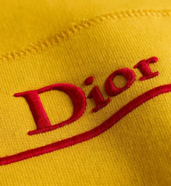 Dior Book Cover Hoodie