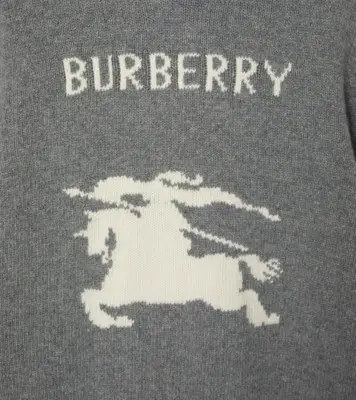Burberry Ekd Intarsia-knit Drawstring Hoodie
