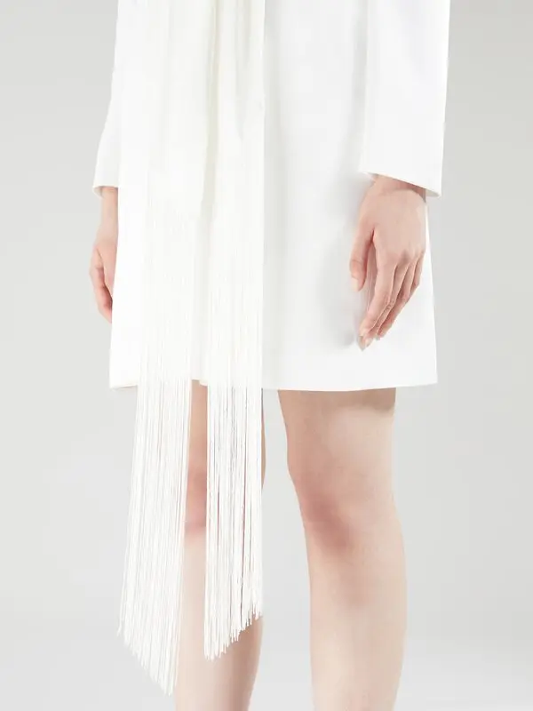 Max Mara Long Sleeve V-neck Dress With Draped Belt And Tasseled Hem