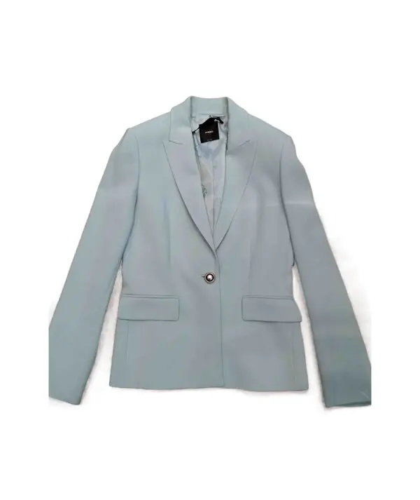 Pinko Single-breasted Tailored Blazer With Notched Lapels - Gray