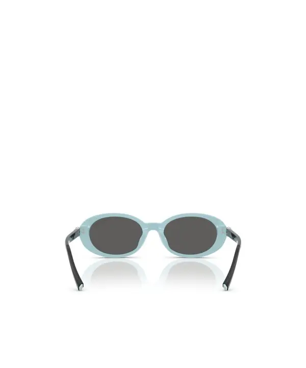 TIFFANY  CO. Tiffany & Co. Oval Frame Sunglasses