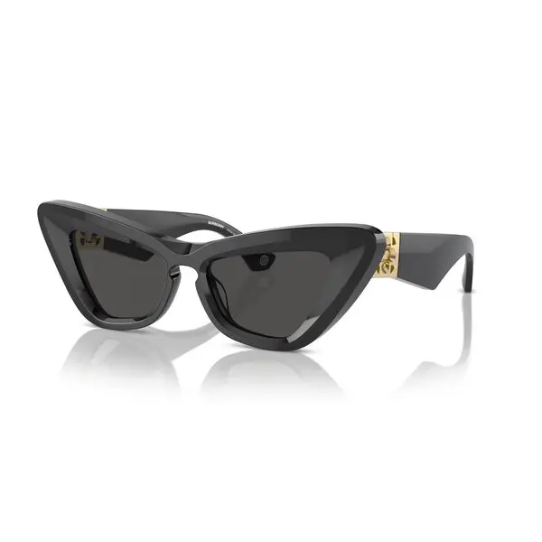 Burberry Cat Eye Full Rim Sunglasses - Black