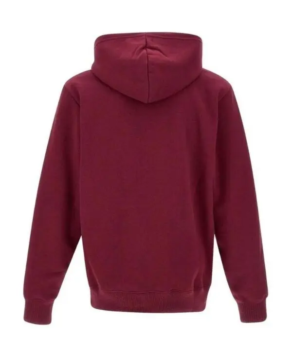 The North Face Printed Logo Drawstring Hoodie
