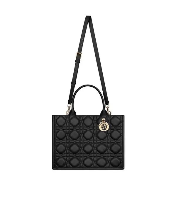 Dior Medium Book Tote - Black