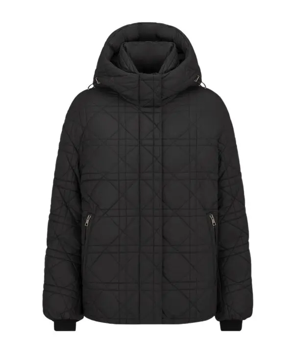 Dior Alps Macrocannage Hooded Down Jacket - Black