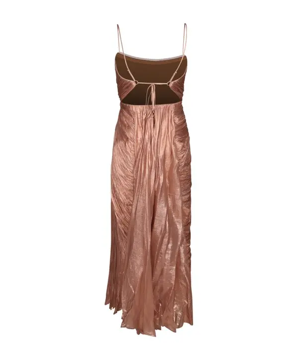 MARIA LUCIA HOHAN Ruched Pleated Gown - Brown