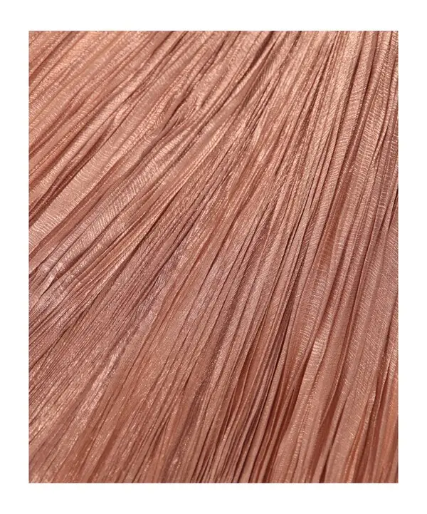 MARIA LUCIA HOHAN Ruched Pleated Gown - Brown
