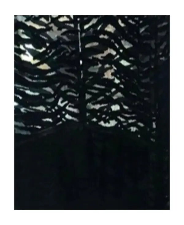Saint Laurent Zebra Print Sheer Mini Dress
