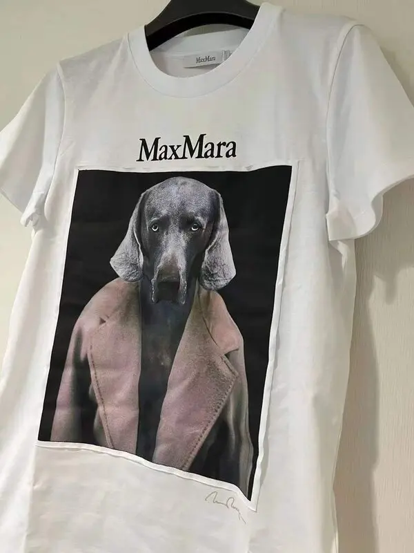 Max Mara Cipria Graphic Printed Crewneck T-shirt - Gray